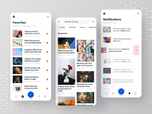 E Newspaper and Magazine App Development Cost And Features
