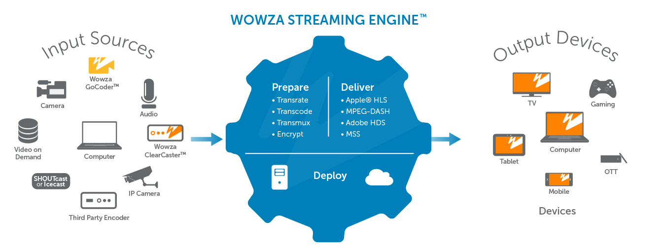 How Much Does It Cost to Create a Video Streaming App?
