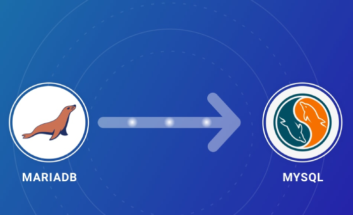 MariaDB Database Guide - Migration, Challenges and Solutions