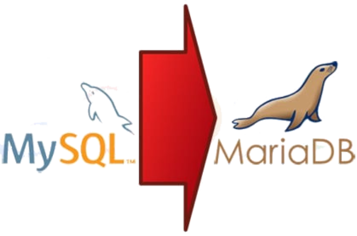 MariaDB Database Guide - Migration, Challenges and Solutions